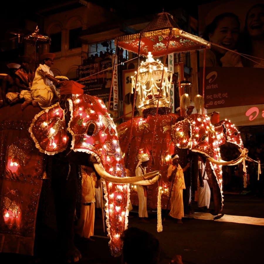 Navam Perahera (Gangarama) - equatorblu